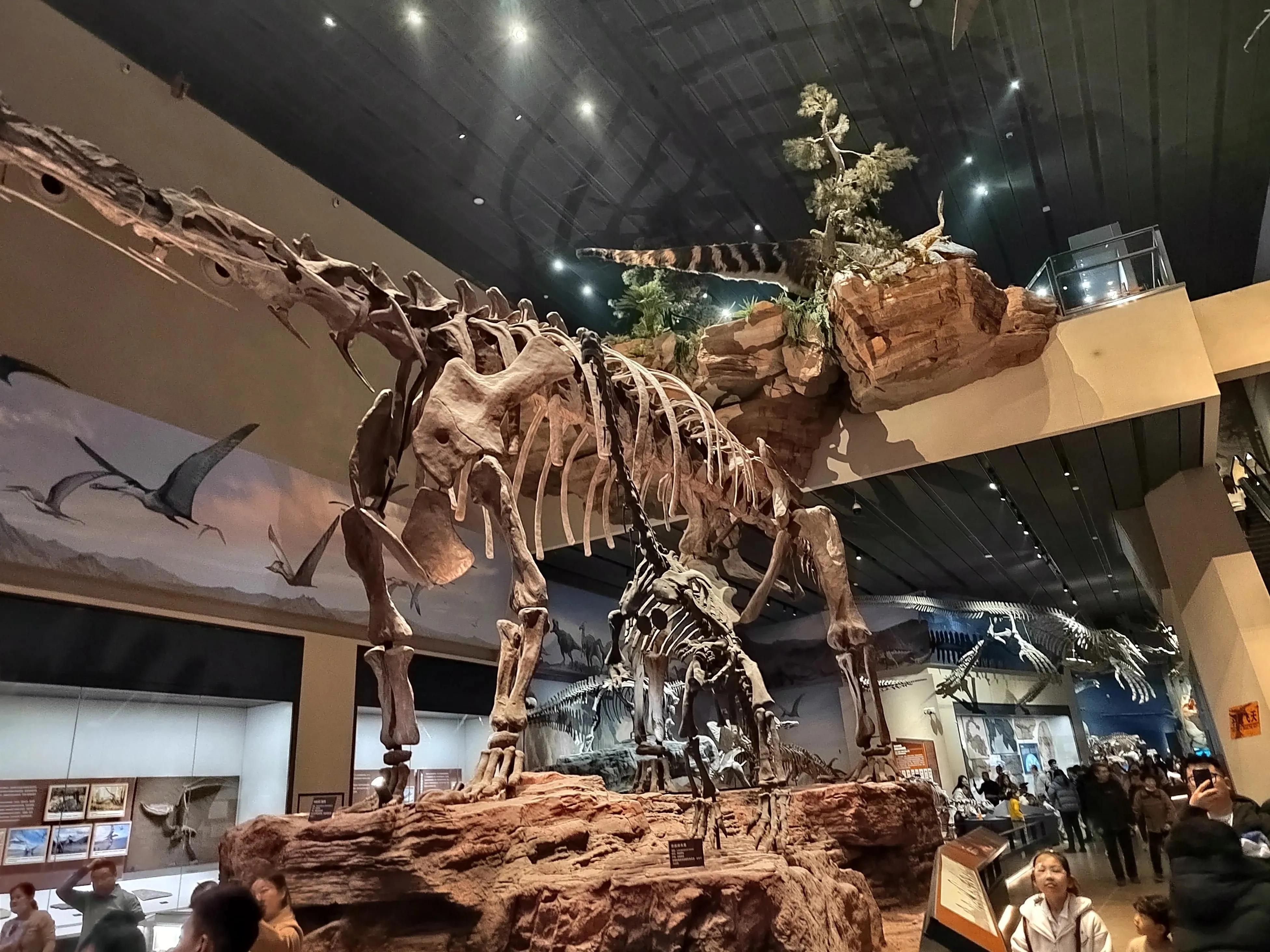 中国古动物馆（保定自然博物馆）终于抢到门票了