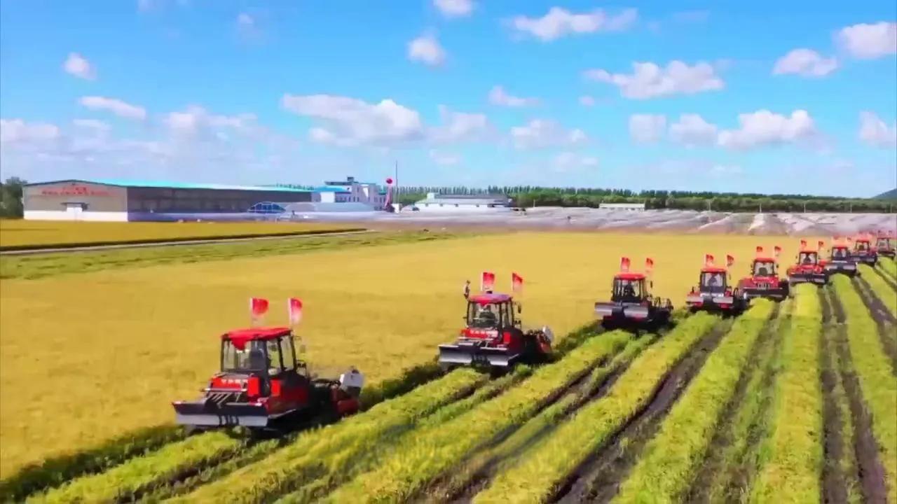 黑龙江的地理位置那么好，为什么经济落后？