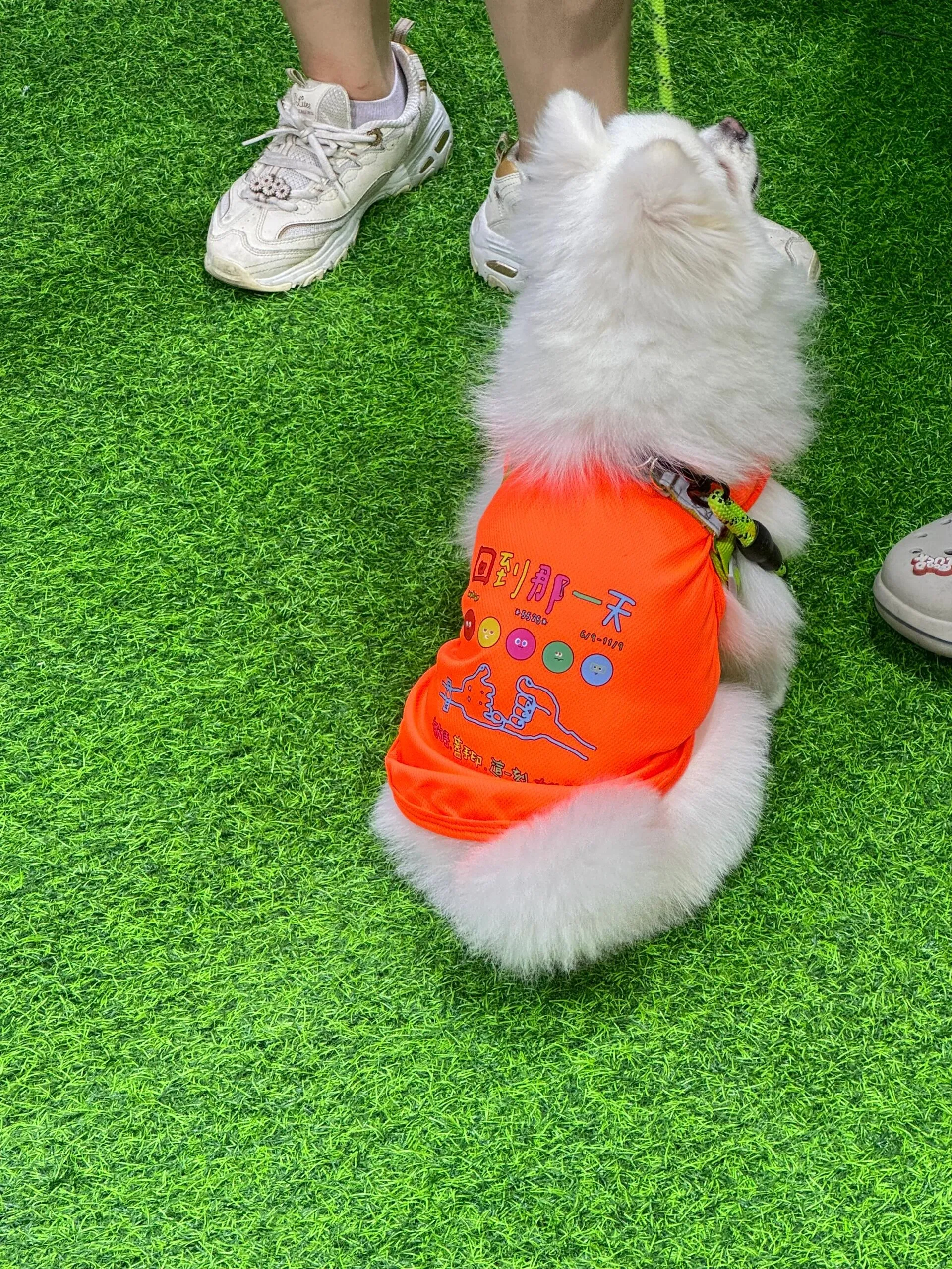 武汉变身Mayday land：五月天粉丝打卡攻略与观演指南